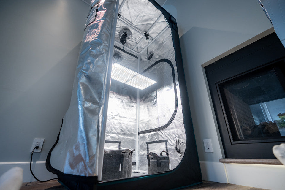 Gambit Growing 4x2x6.6 Bud Bunker Grow Kit – Nutrient Growth Systems Canada