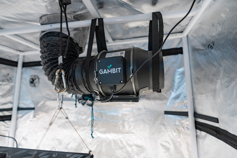 Gambit Growing 4x4x6.6 Bud Bunker Grow Kit – Nutrient Growth Systems Canada