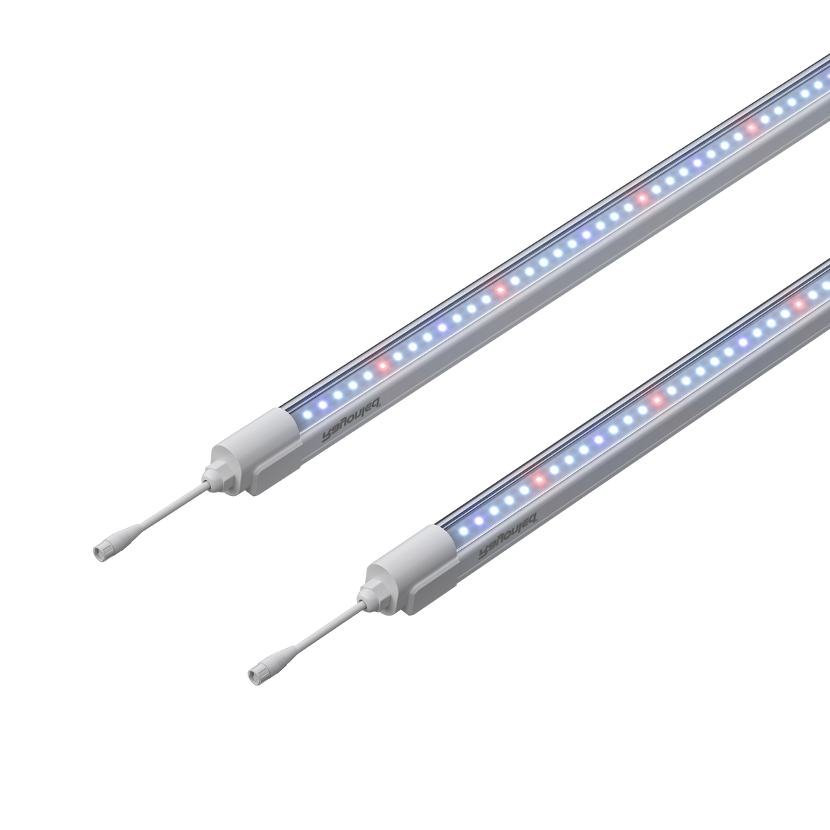 Rayonled TB-25 Clone Tubes (2 Pack) – Nutrient Growth Systems Canada